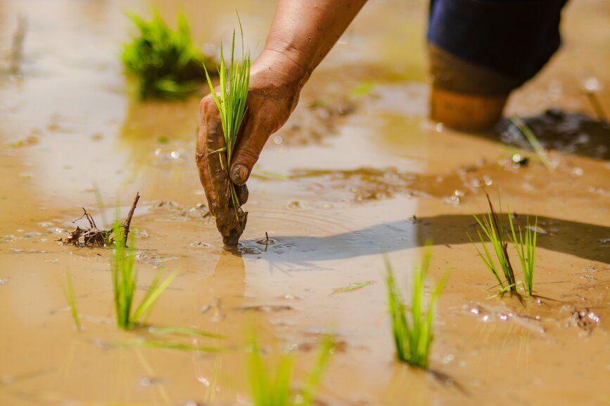 Dak Dam, Cambodge | Village bunong et artisanat au cœur de la nature